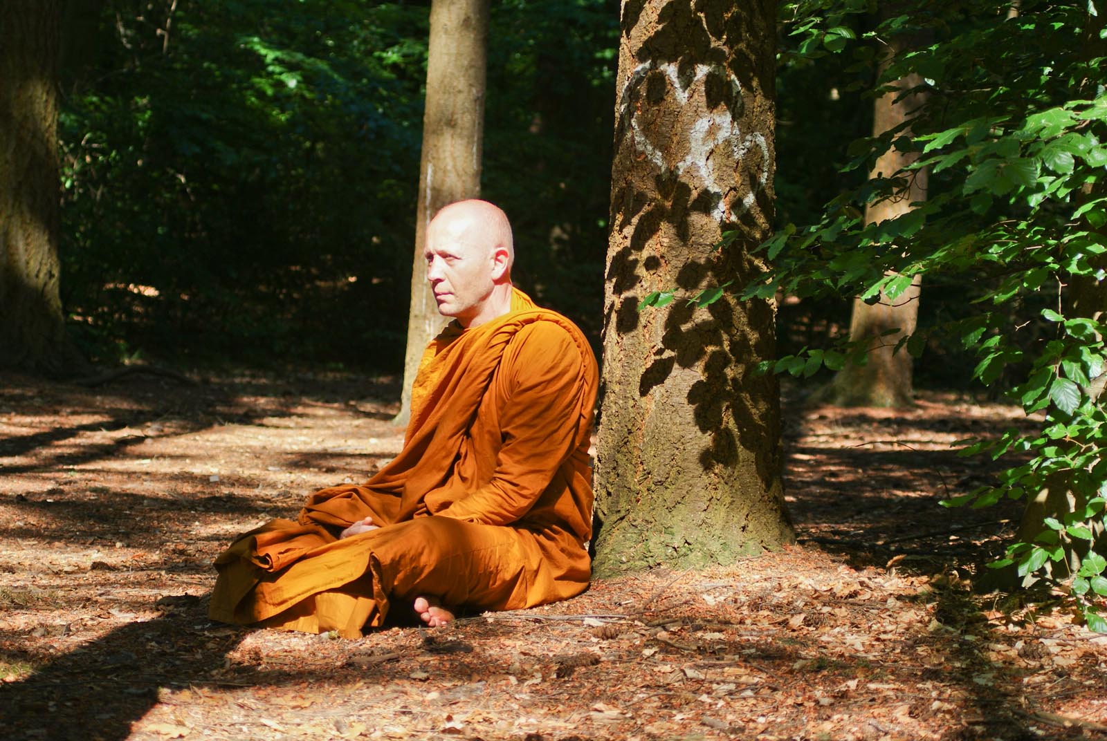 2011 – Germany - Pictures of Ajahn Martin Piyadhammo